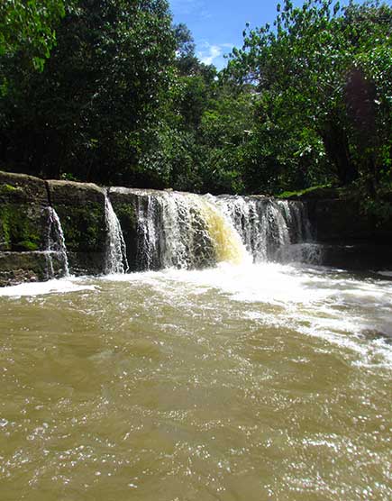 Sumaco Napo Galeras National Park - Amazonia - Selva Verde