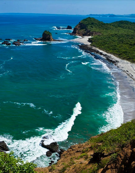 National tours of the 4 regions of Ecuador - Selva Verde